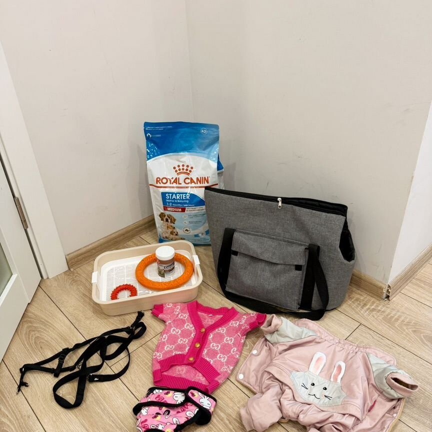 Сумка для маленькой собаки