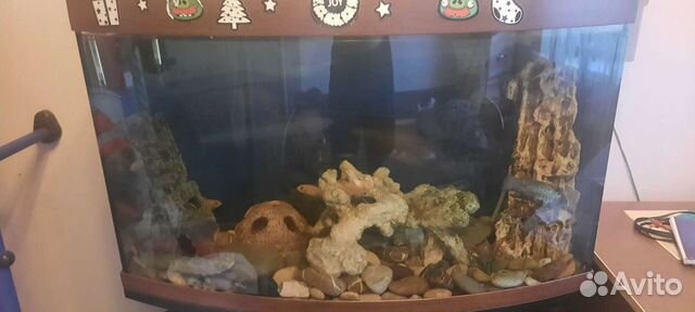 Аквариум с тумбой 120 литров