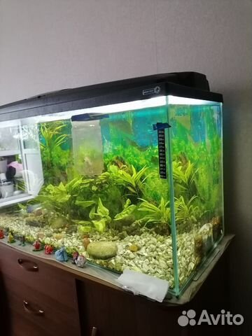 Продам аквариум