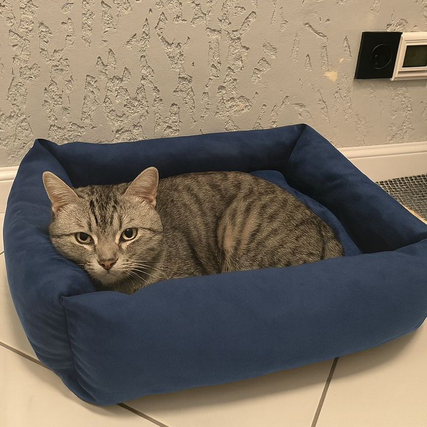Лежанка для кошек 45*35*15