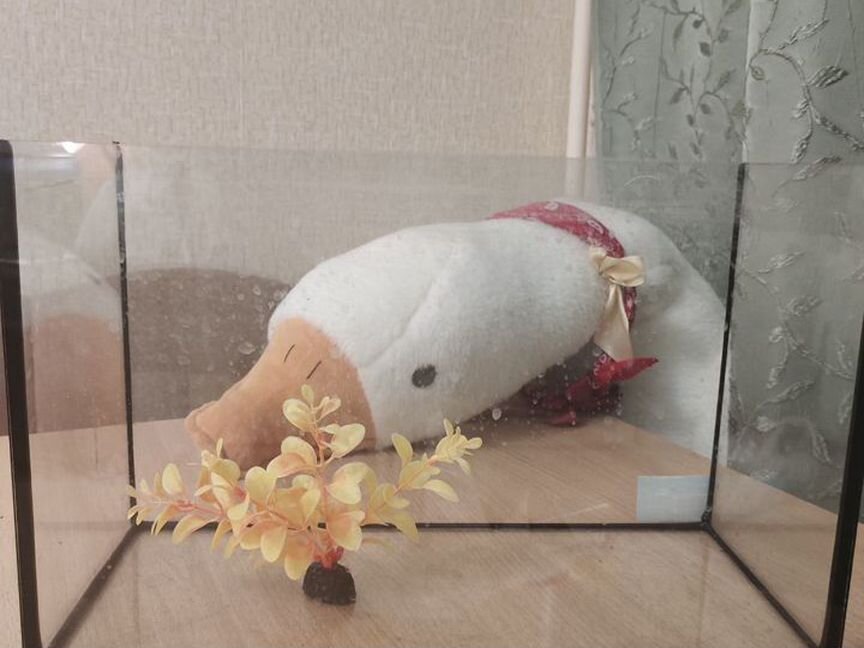 Аквариум 14л