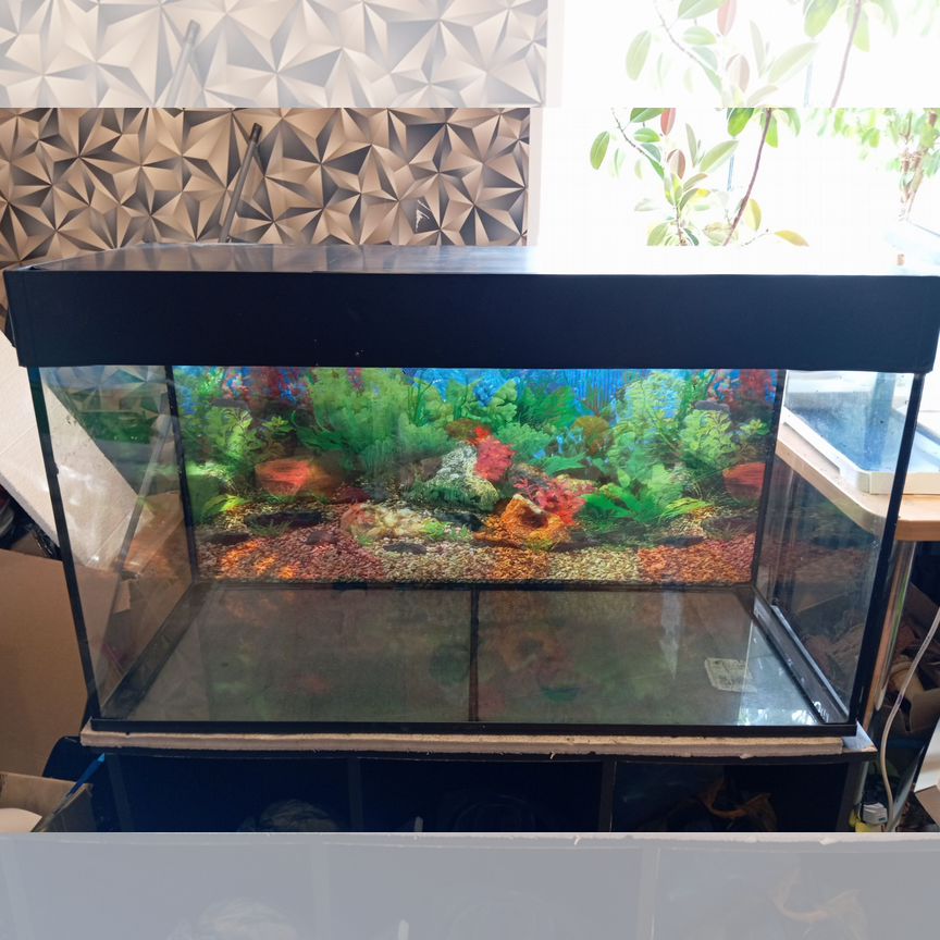 Аквариум 200 литров и 115 литров