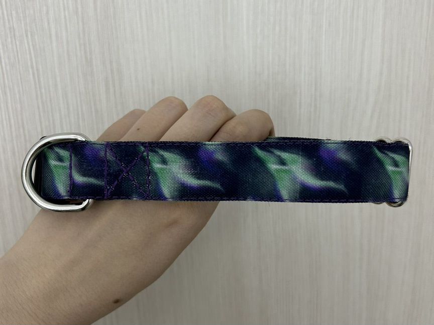 Ощейник biglini