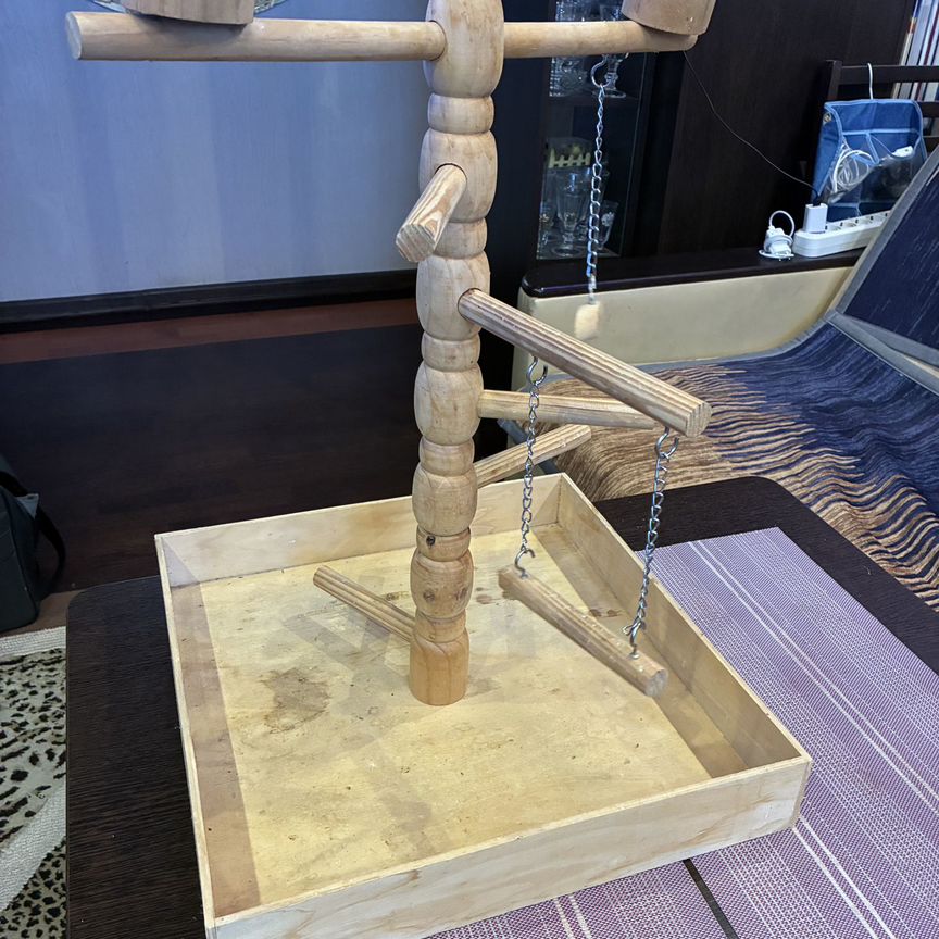 Присед для попугаев