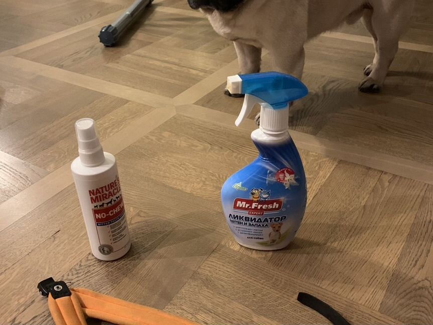 Вещи для щенка