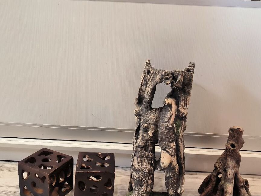 Грот коряга