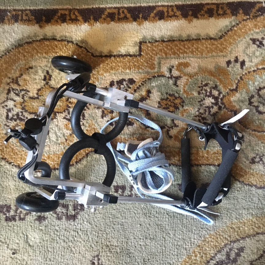 Ходунки каталка для собаки