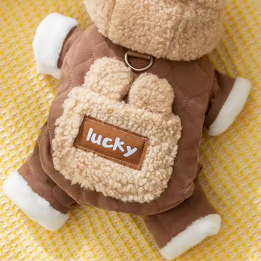 Одежда для собак