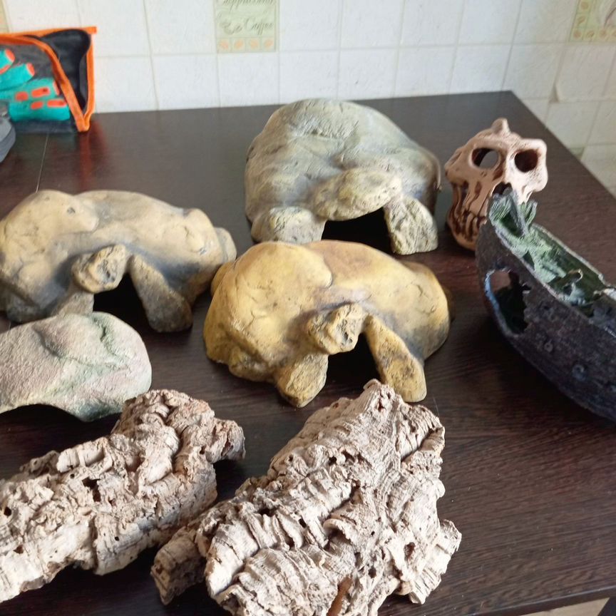 Товары для рептилий