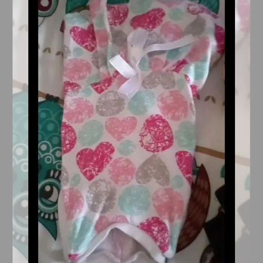 Одежда для собак и кошек