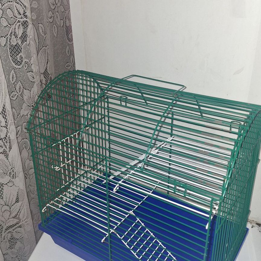 Клетка