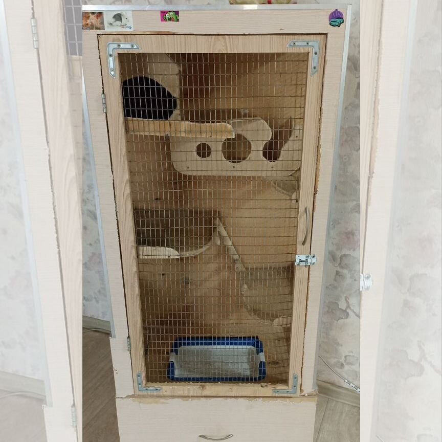 Витрина для шиншилл