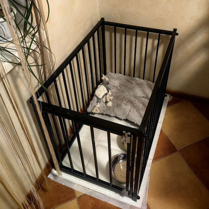 Вольер для собак домашний