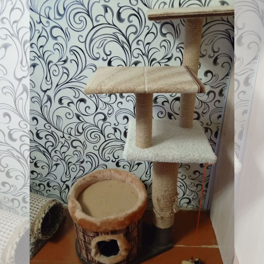 Когтеточка домик для кошки