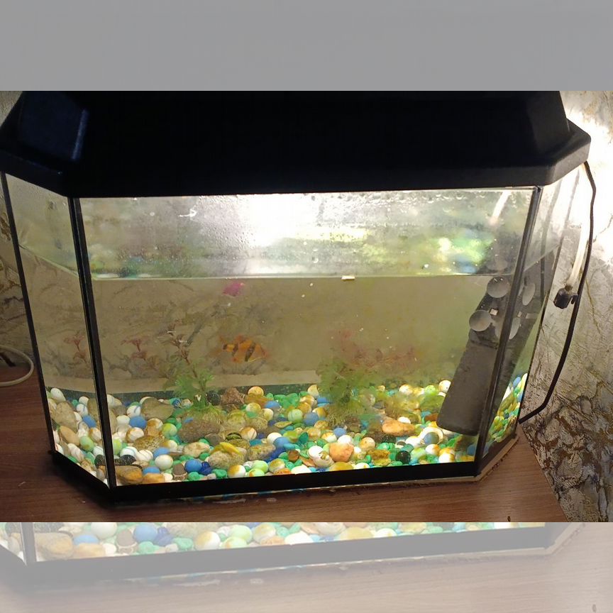 Аквариум с рыбками