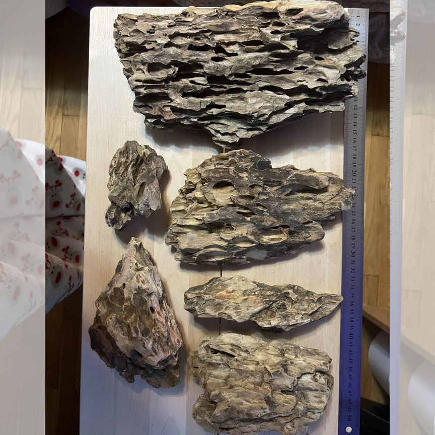 Камень дракон для аквариума