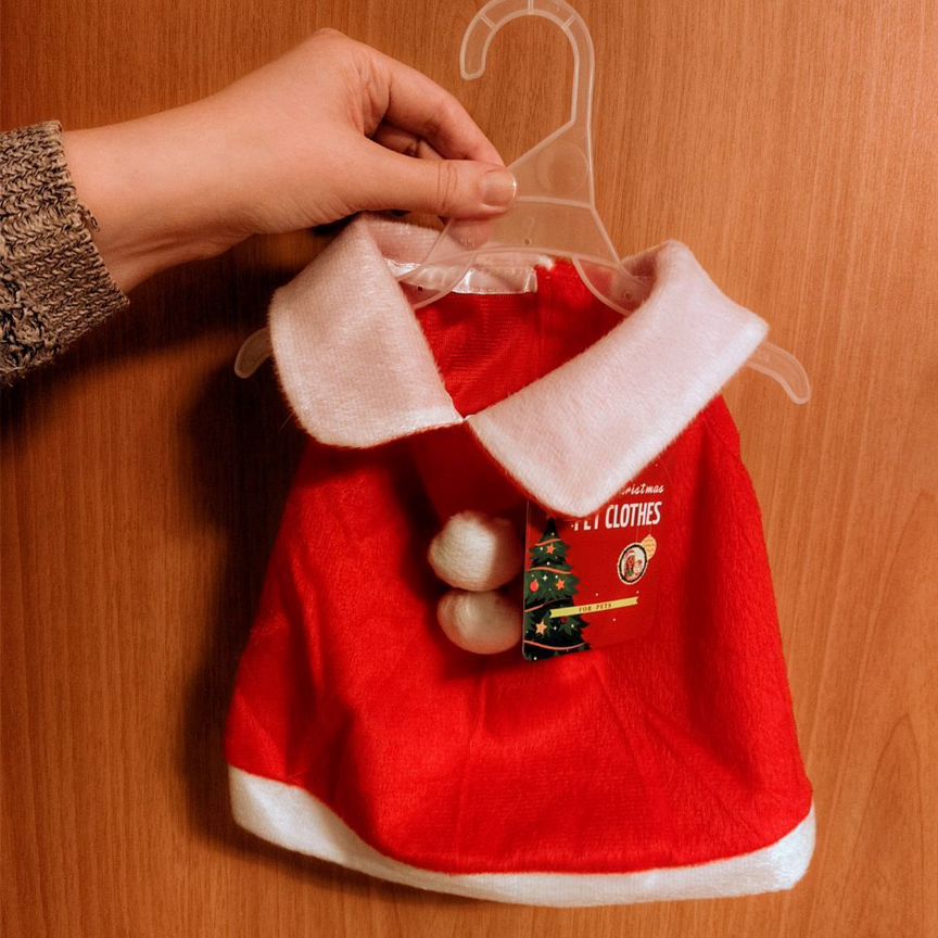 Новогодний костюмчик для кошечки или собачки