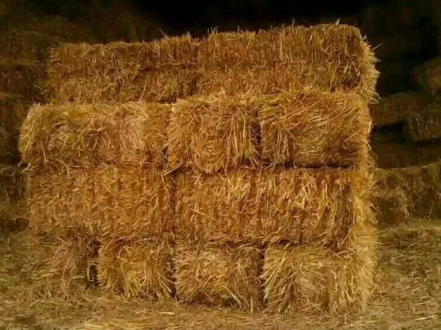 Солома в тюках
