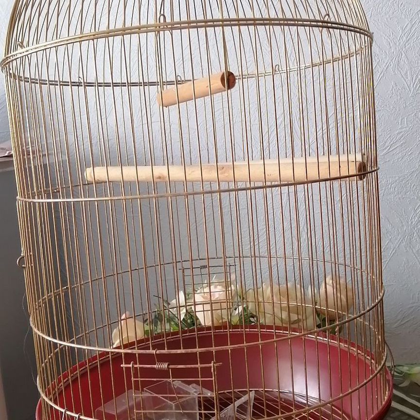 Клетка золотая для птиц
