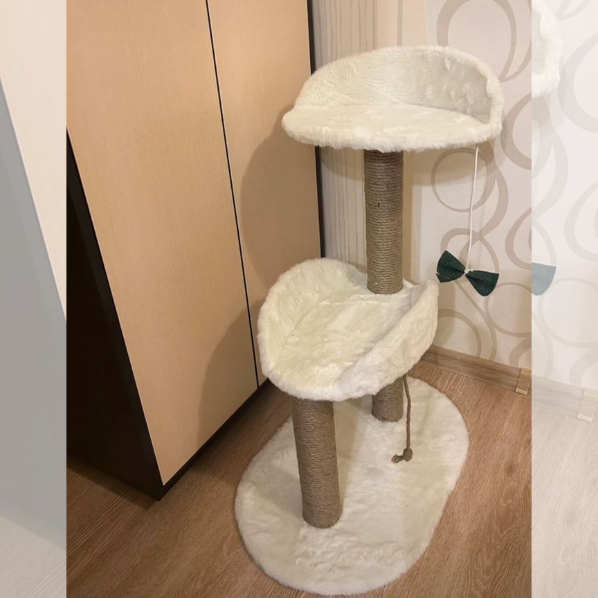 Когтеточка