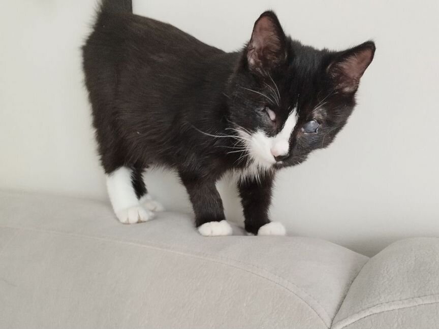 Ну и что, что у меня видит только 1 глазик