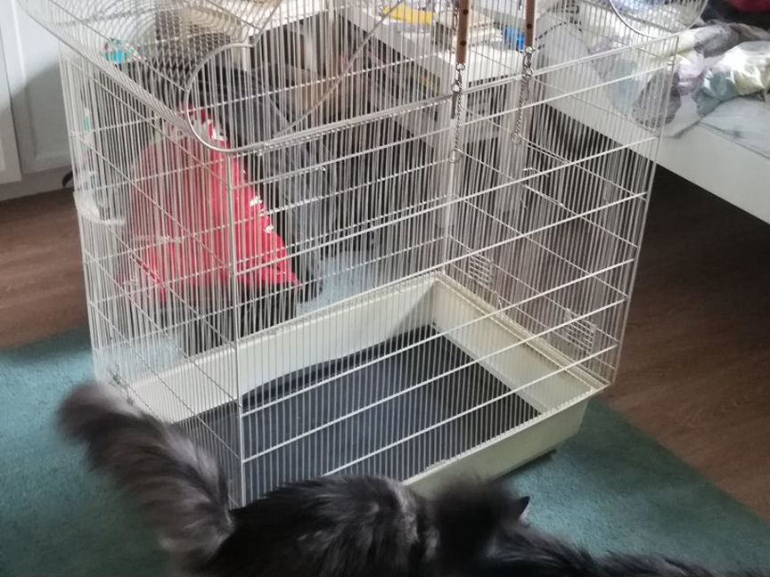 Клетка большая