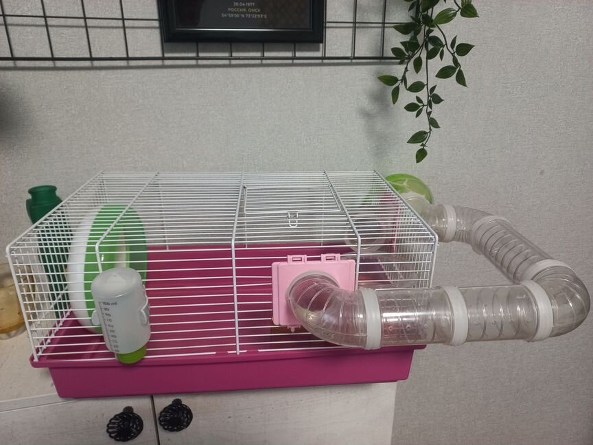 Клетка с тоннелем для грызунов