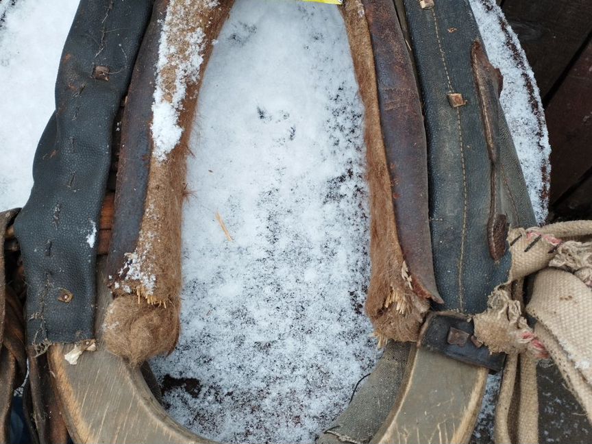 Хомут для лошади