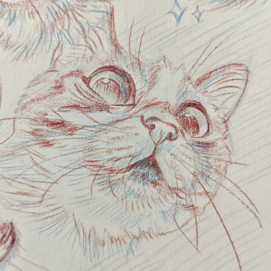 Рисую ваших питомцев