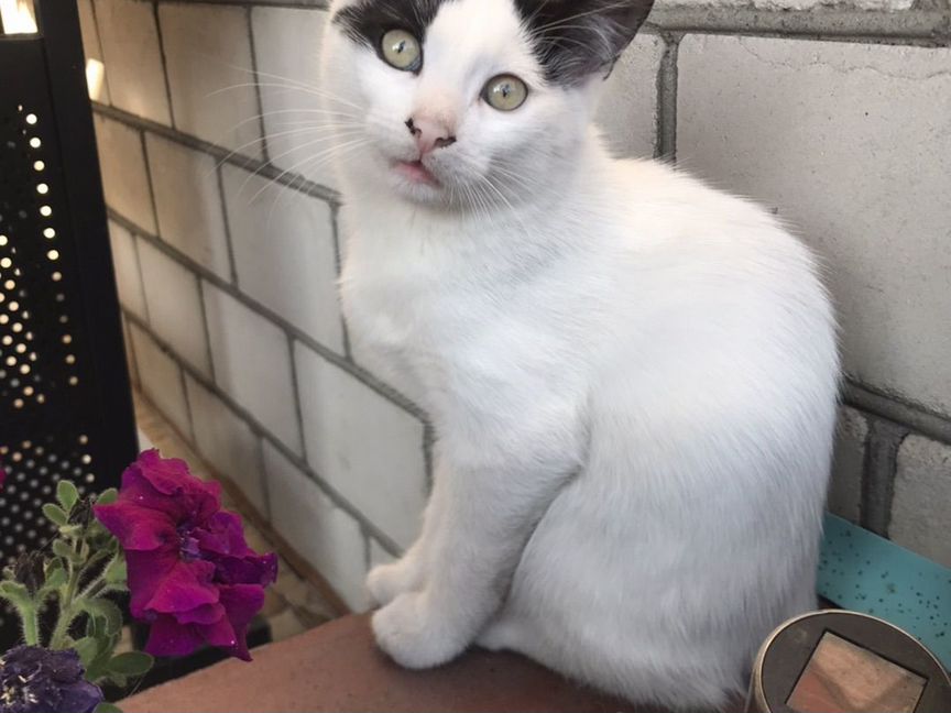 Брутальный парень