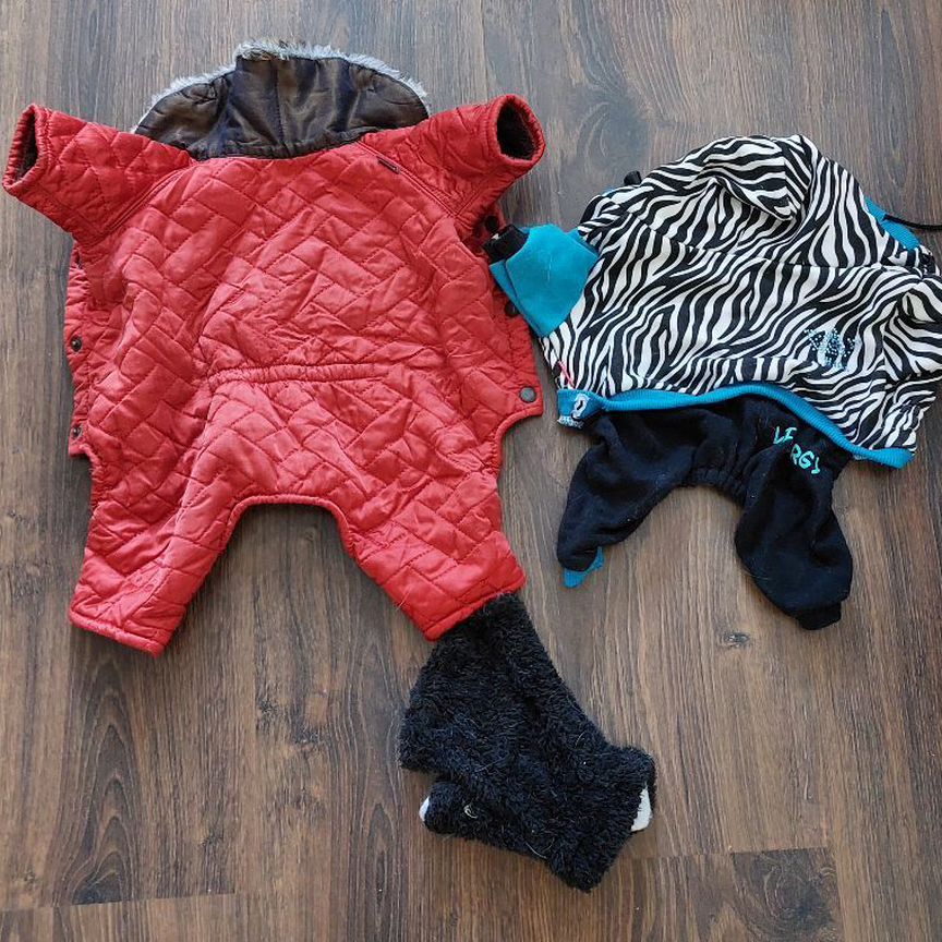 Одежда для собак