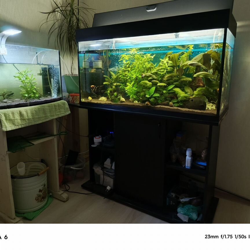 Аквариумы с тумбой и рыбками