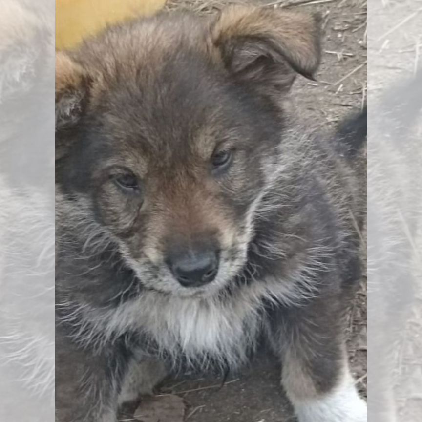 Малышам очень нужен дом