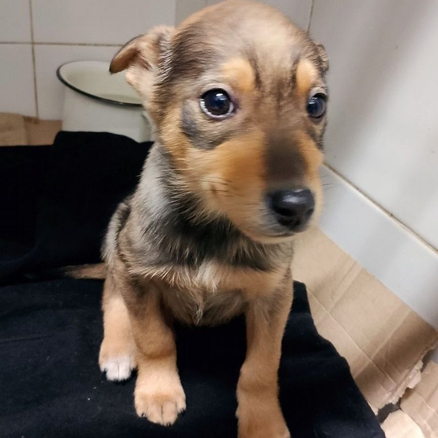 Малышка Лилу 3 месяца