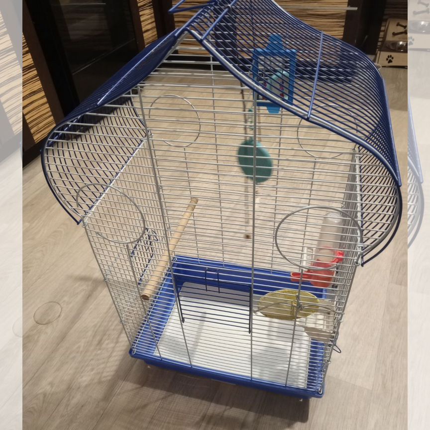 Попугай волнистый клетка