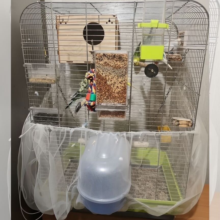 Волнистый попугай с клеткой