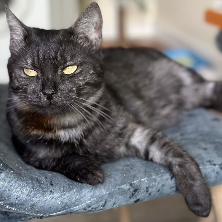 Гаечка в самые надёжные руки