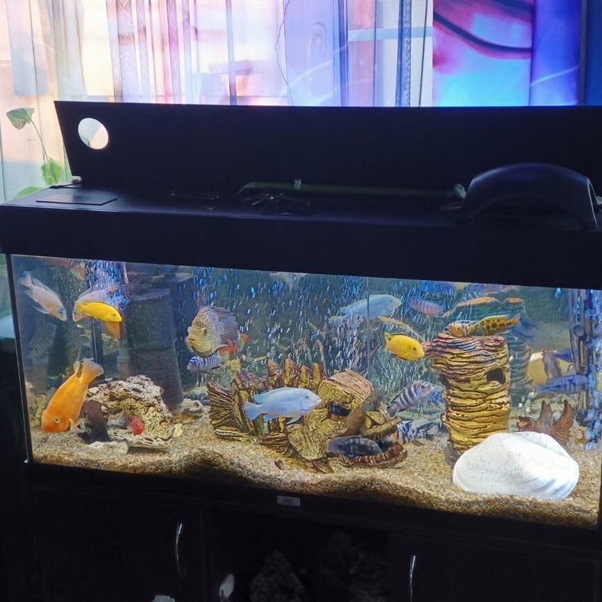 Аквариум с тумбой juwel