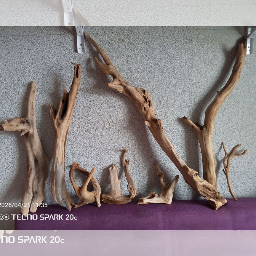 Готовые коряги для аквариума и террариума