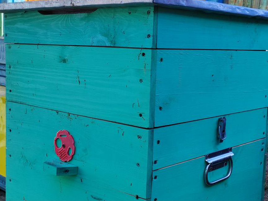 Улья для пчëл