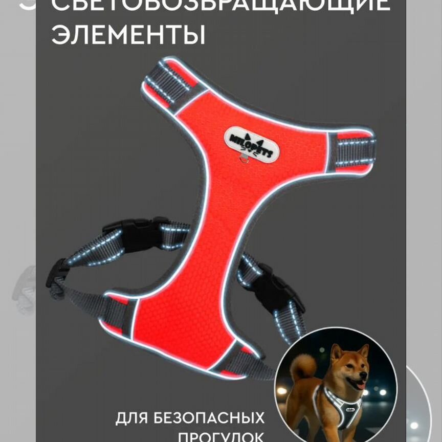 Шлейка для собаки