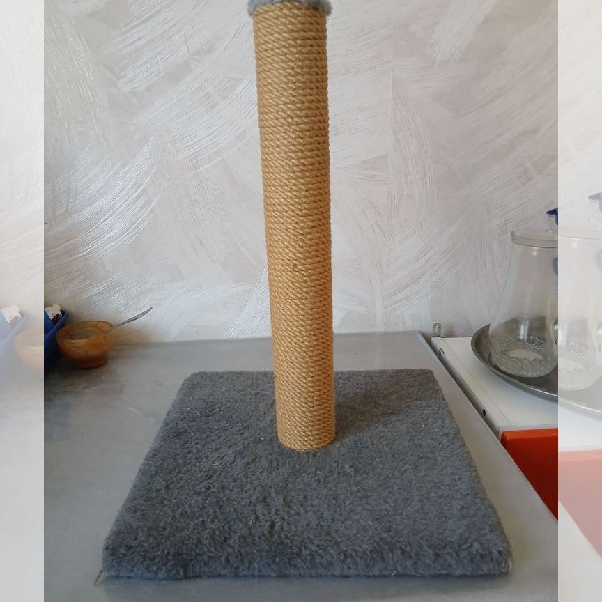 Когтеточка для кошек