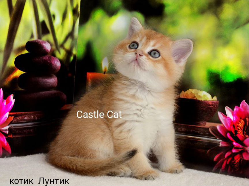 Очаровательные детки