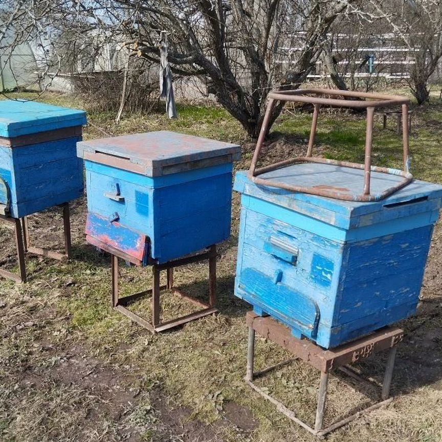 Ульи для пчел и подставки для них