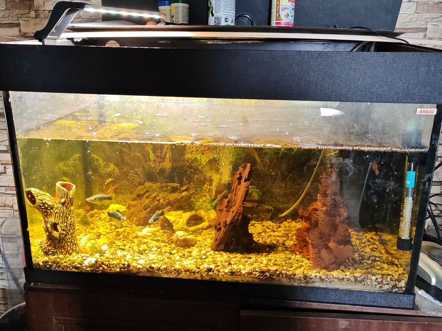 Аквариумы от 100 литров