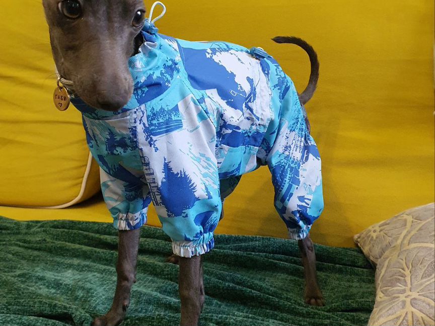 Комбинезон для маленькой собаки девочки