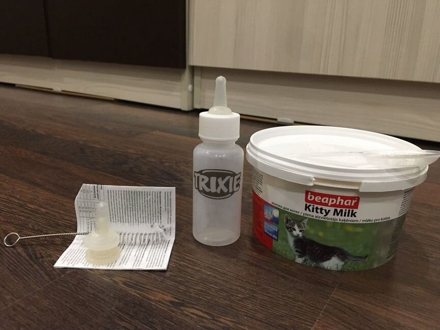 Молоко для котят
