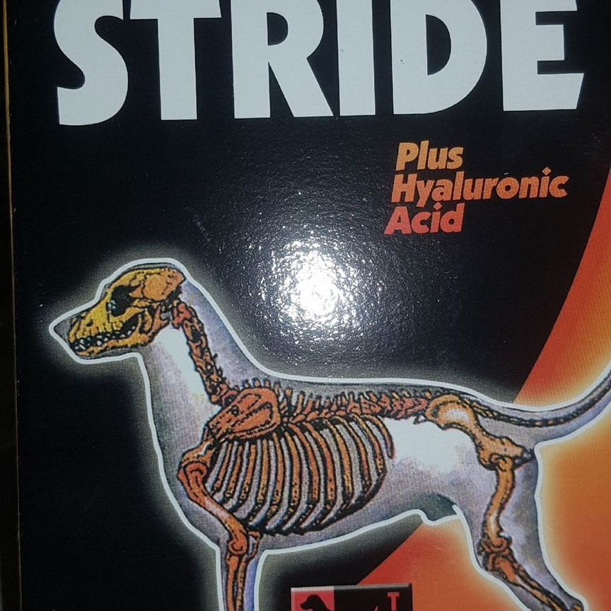 Страйд для собак