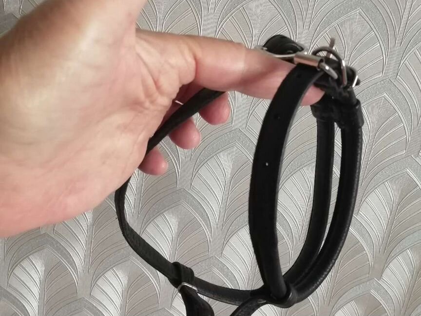 Шлейка для собаки