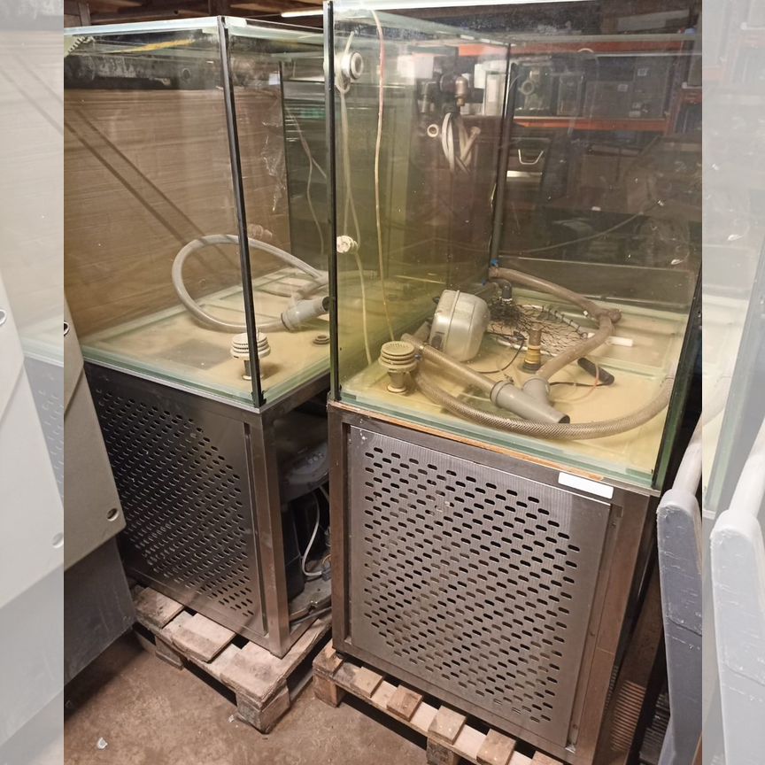 Аквариум для продажи живой рыбы